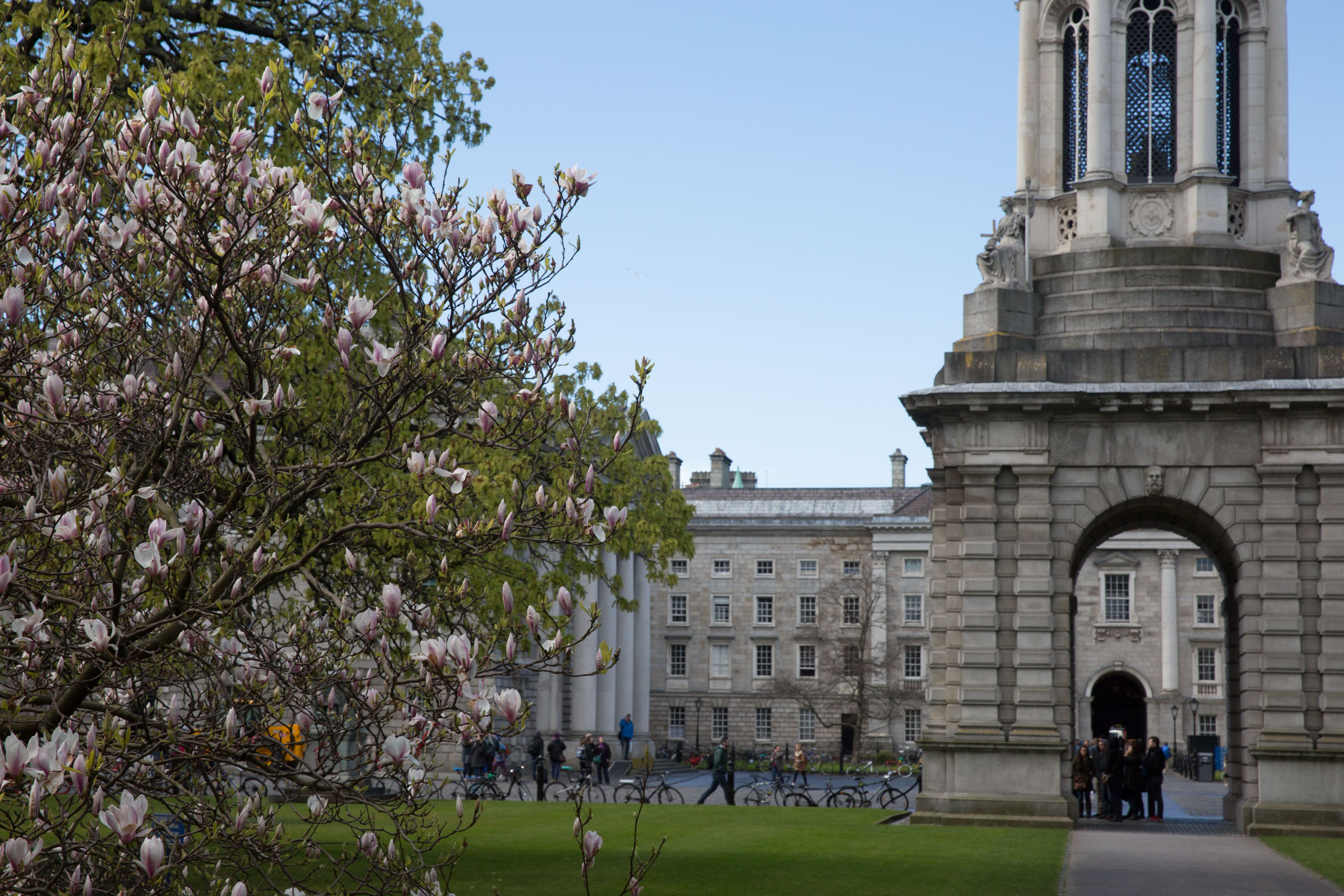 Commercial Revenue Unit - Trinity College Dublin
