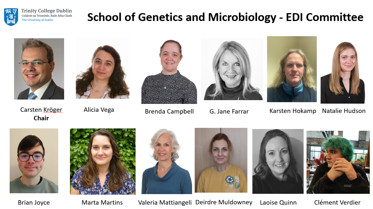 Equality, Diversity and Inclusion in our School - School of Genetics ...