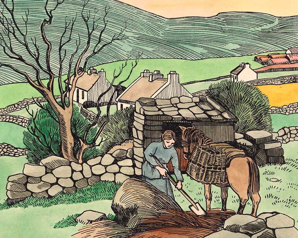 Cuala Press Project - The Library of Trinity College Dublin - Trinity ...