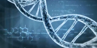 Themes - Trinity Research : Trinity College Dublin