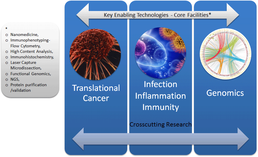 About TTMI - Trinity Translational Medicine Institute - Trinity College ...